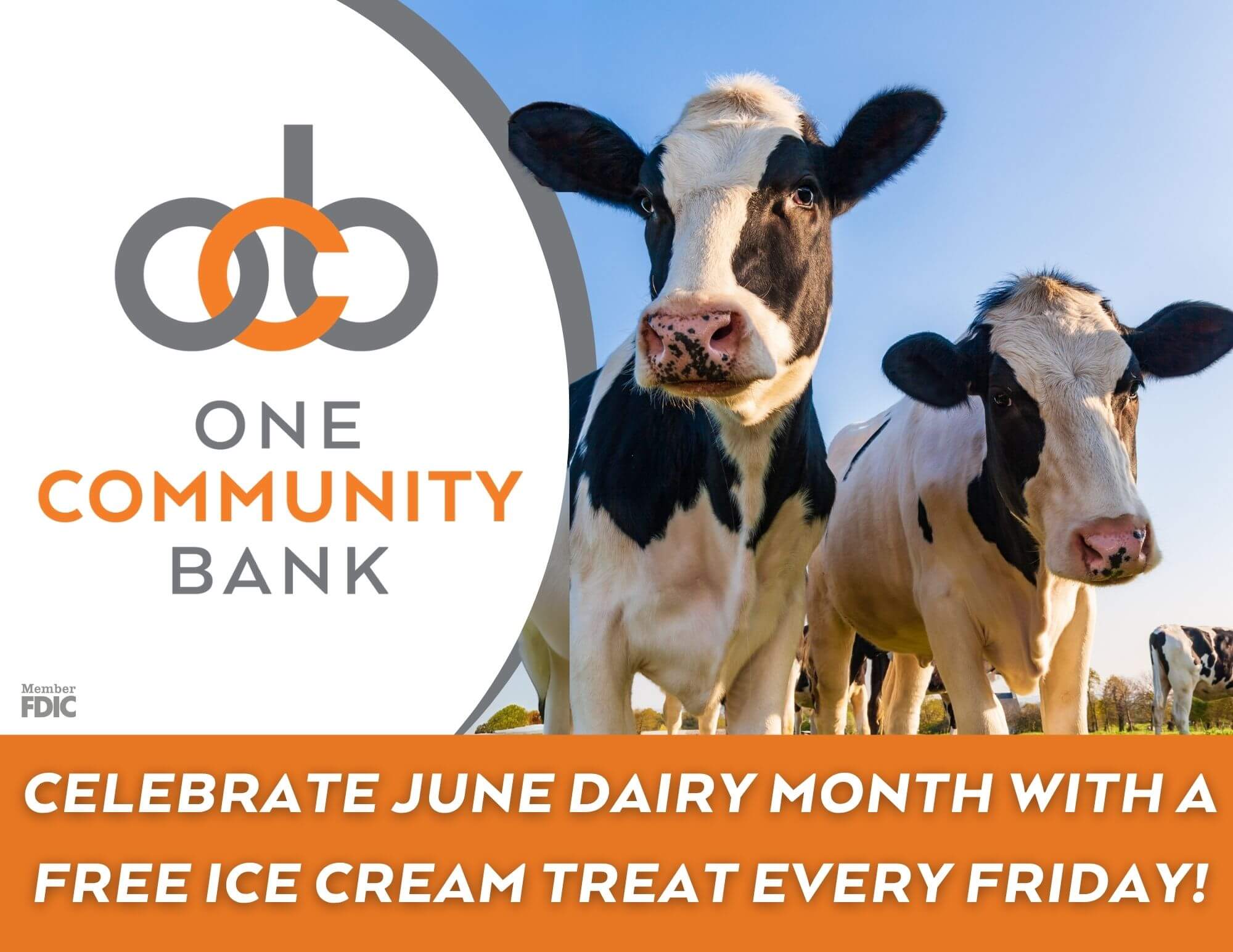 Celebrate June Dairy Month with OCB! | One Community Bank